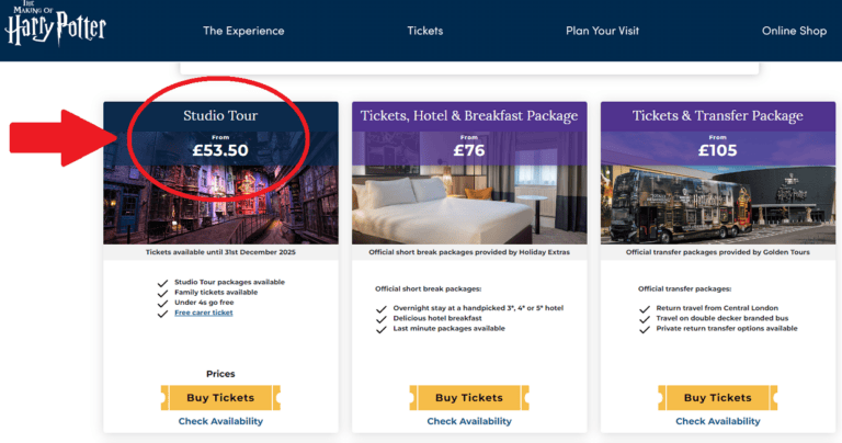 Filmová studia Harryho Pottera v Londýně - na vlastní pěst